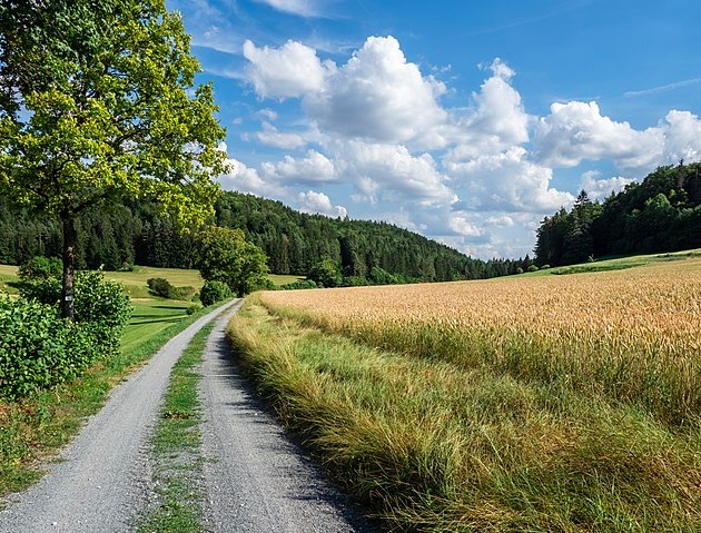 Faire de la terre agricole un actif financier : Sociologie des ...