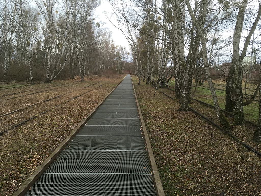 The production of urban nature: compensation landscapes and the ...