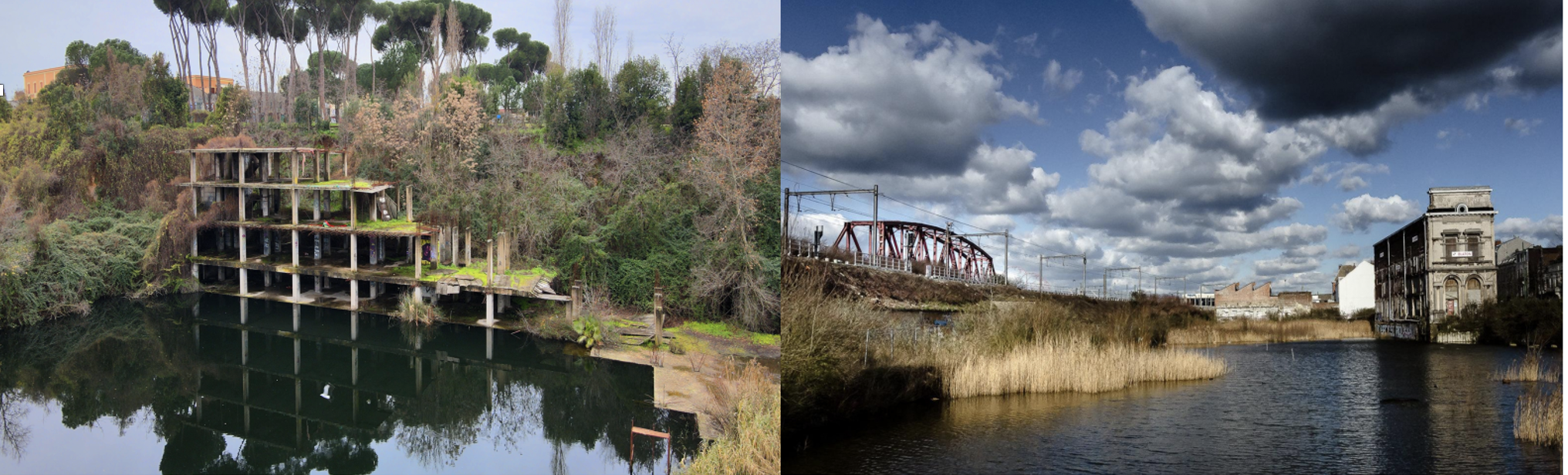 Habiter les catastrophes écologiques. Perspectives multi-espèces avec ...